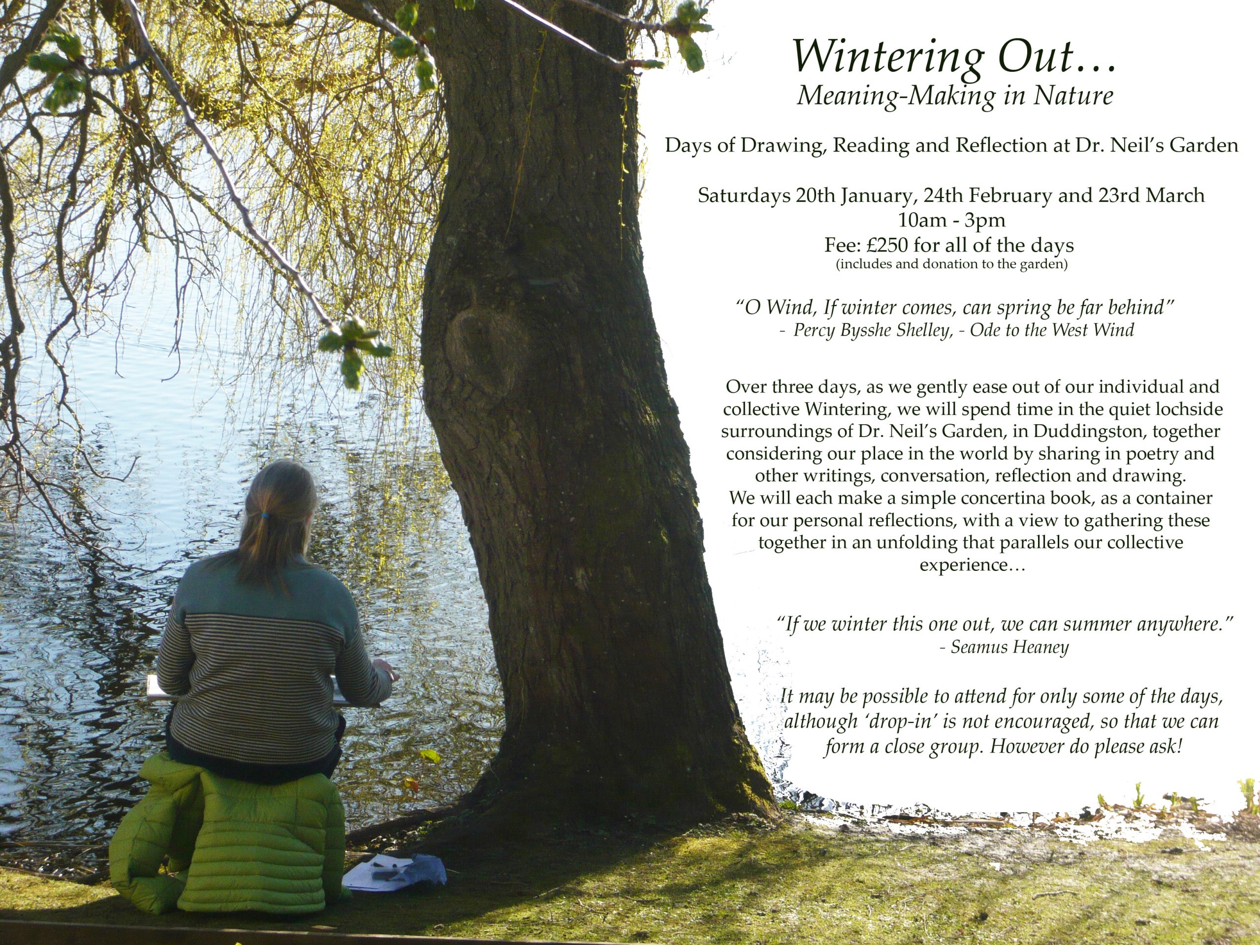 Wintering Out…Meaning-Making in Nature - Brigid Collins