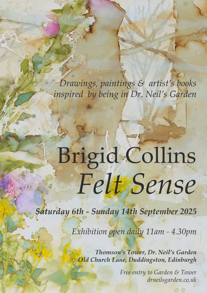 Felt Sense - Brigid Collins