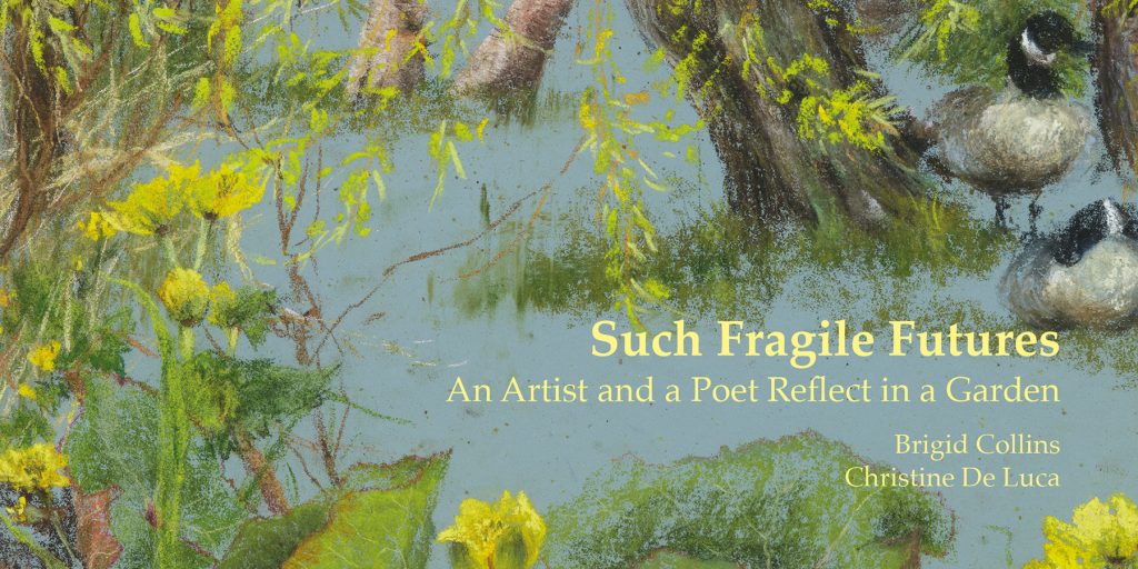 Meet the Authors Free Event and Book Launch - Brigid Collins